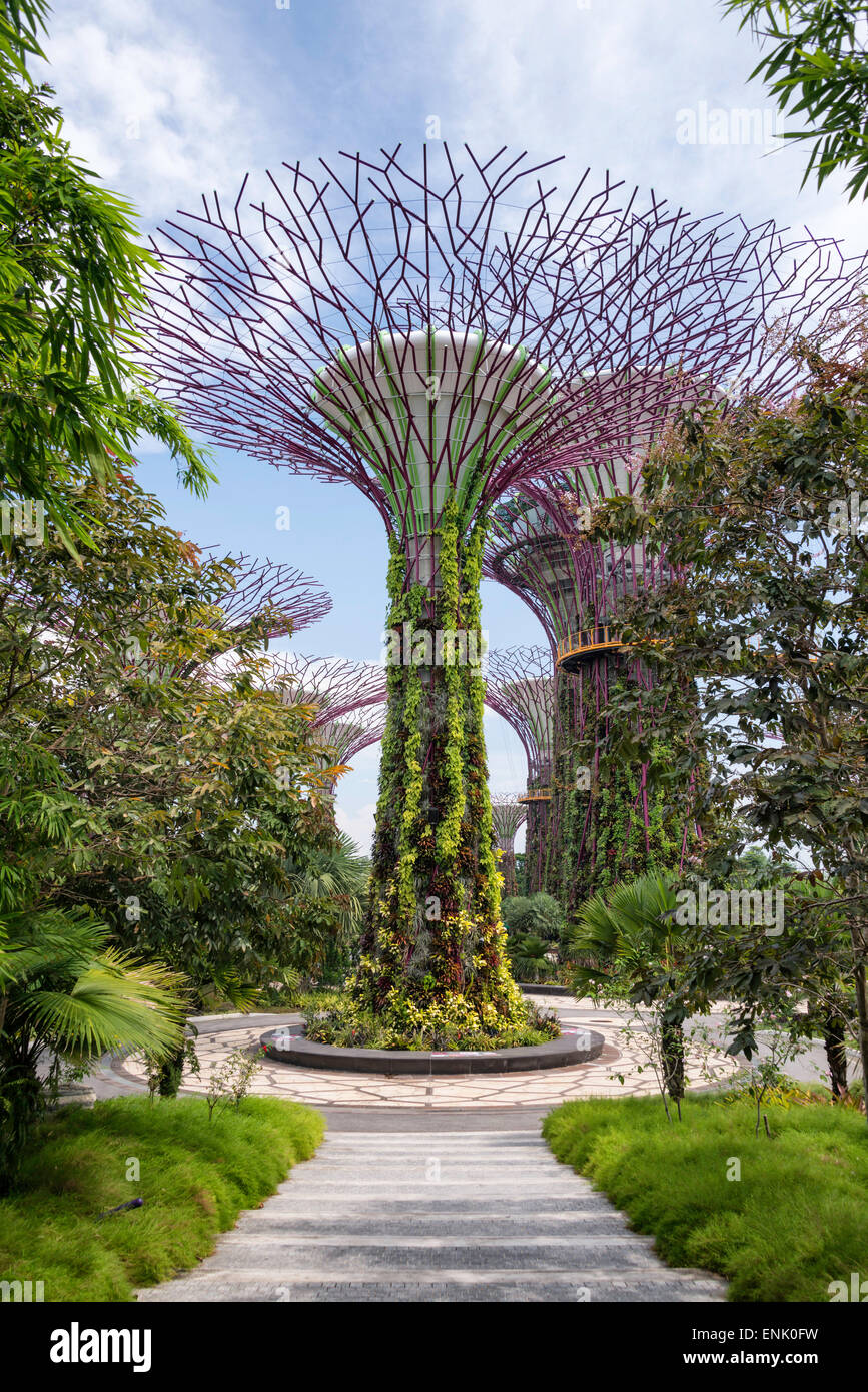 The Supertrees in the Garden By The Bay in Singapore, Southeast Asia ...