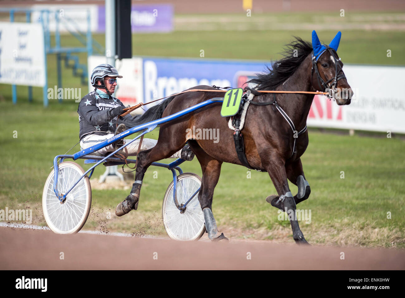 Horse with sulky racing trot hi-res stock photography and images - Alamy