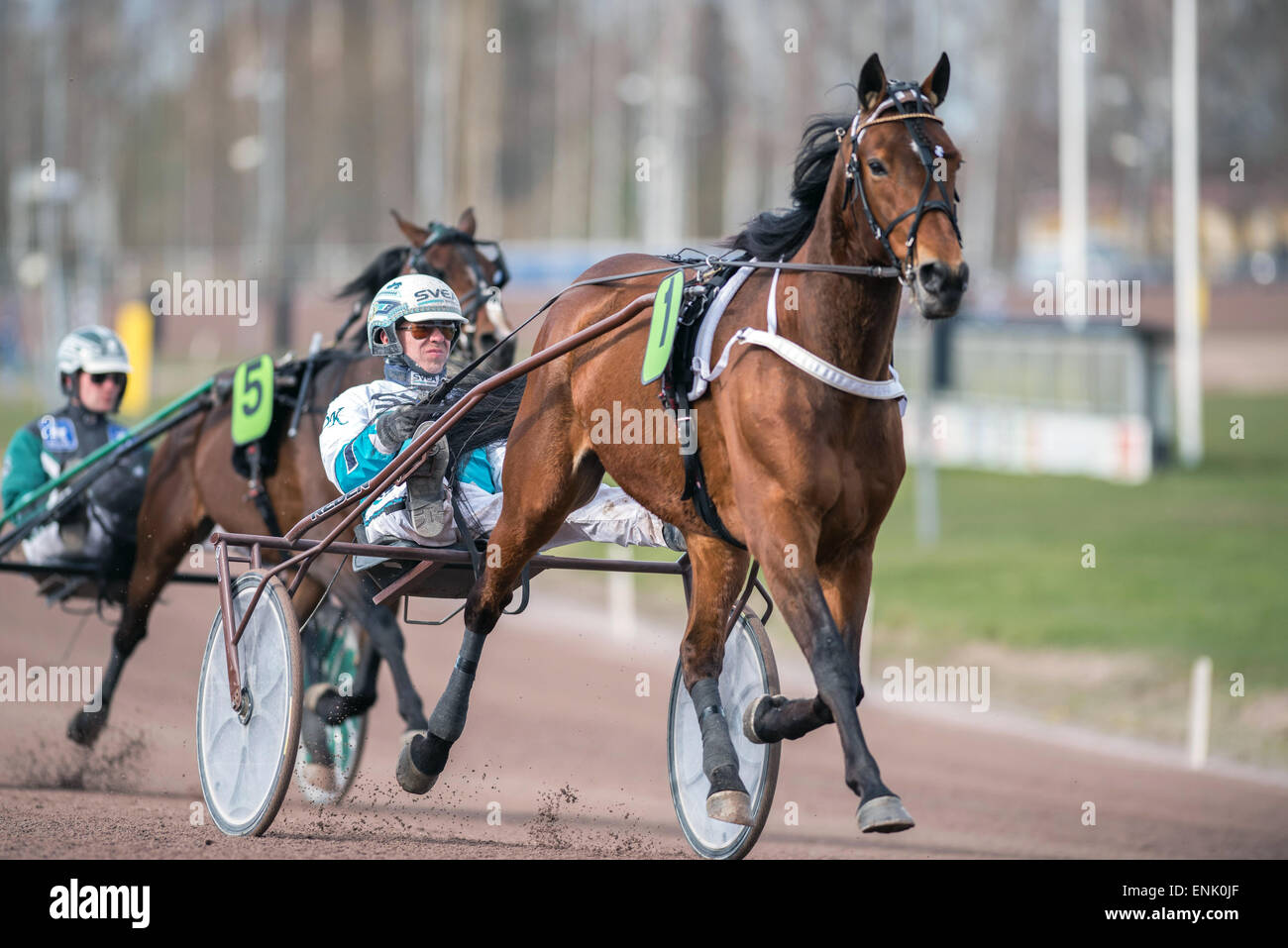 Harness Racing Swedish Horse High Resolution Stock Photography and ...