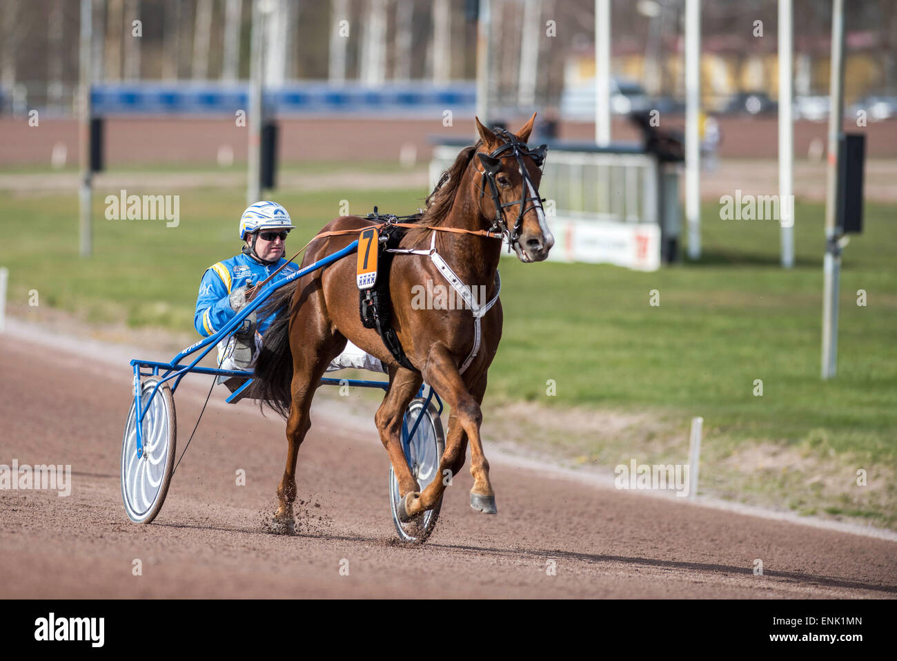 Harness racing at Mantorp race course in Sweden Stock Photo - Alamy