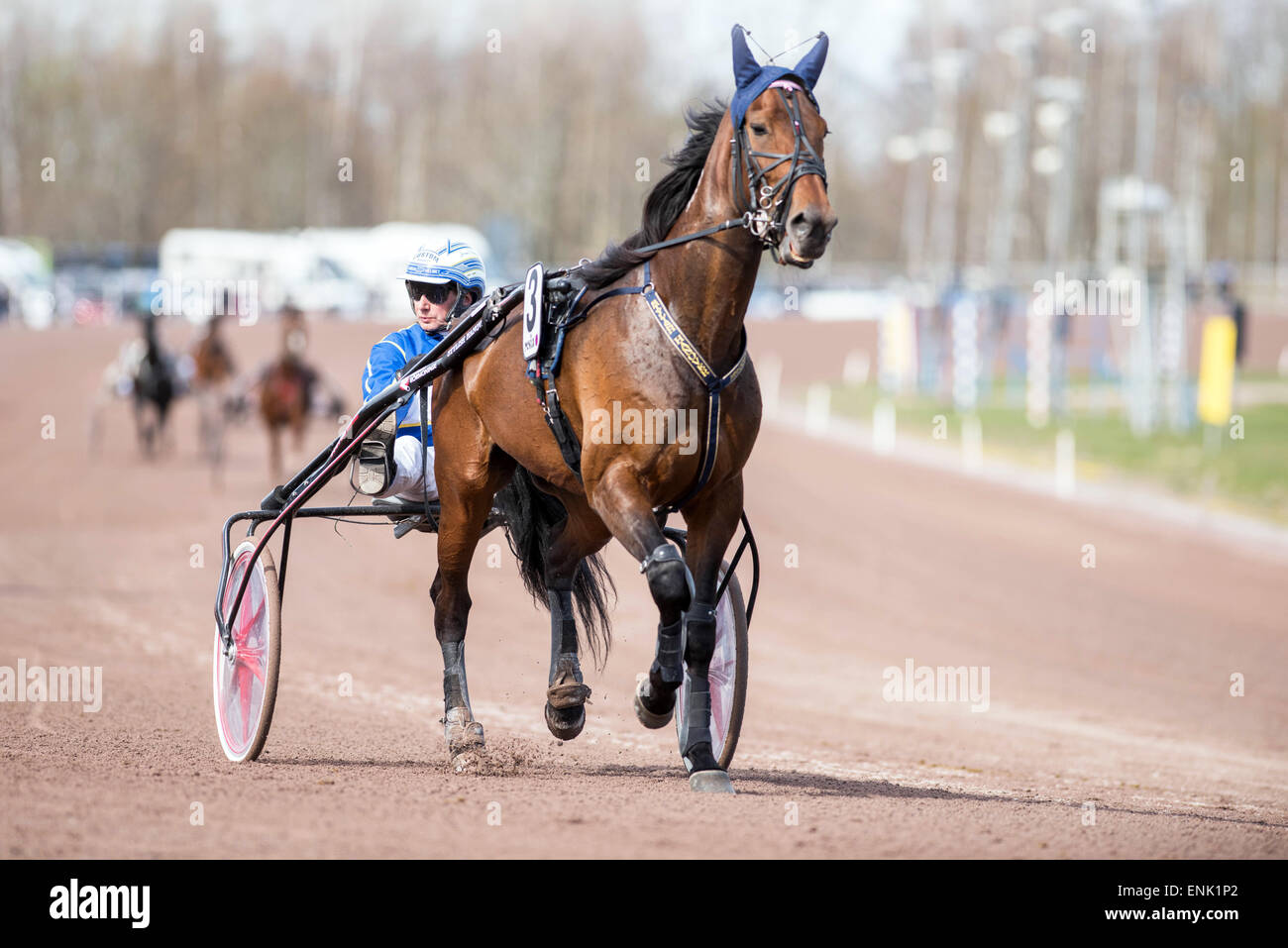 Harness racing at Mantorp race course in Sweden Stock Photo - Alamy