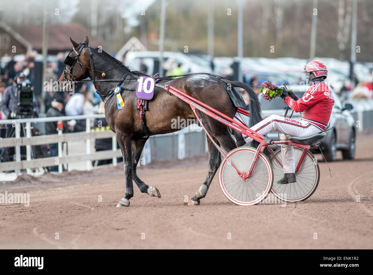 Harness racing at Mantorp race course in Sweden Stock Photo - Alamy