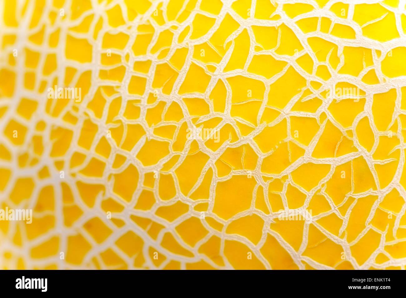 Melon texture hi-res stock photography and images - Alamy