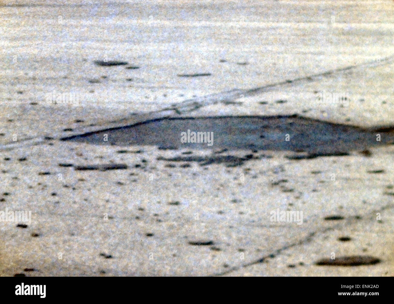 P 1127 kestrel hi-res stock photography and images - Alamy