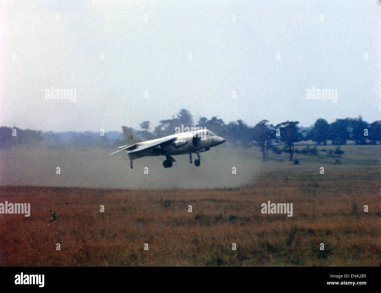 P 1127 kestrel hi-res stock photography and images - Alamy