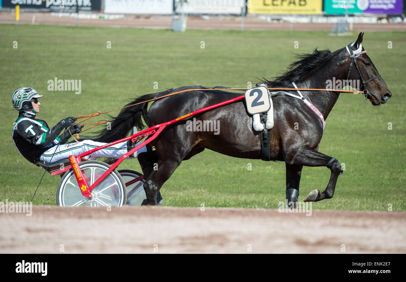Harness racing sweden hi-res stock photography and images - Alamy