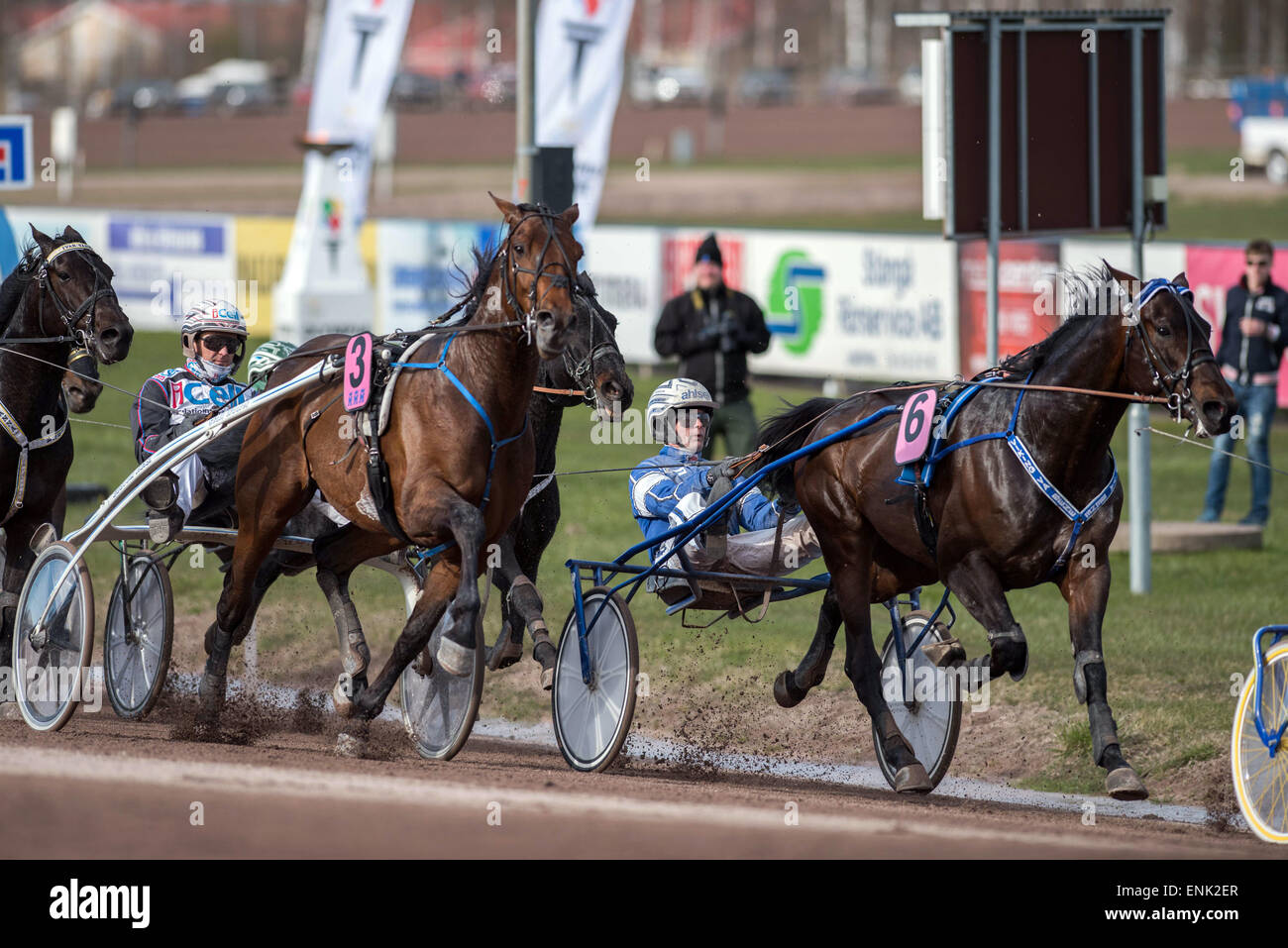 Harness Racing Swedish Horse High Resolution Stock Photography and ...