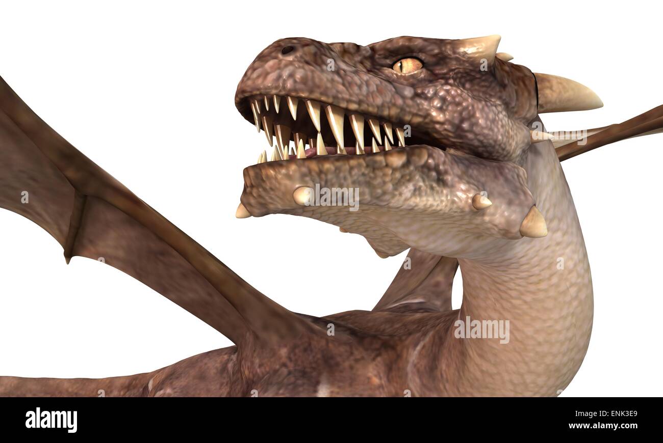 3D digital render of fantasy dragon isolated on white background Stock ...