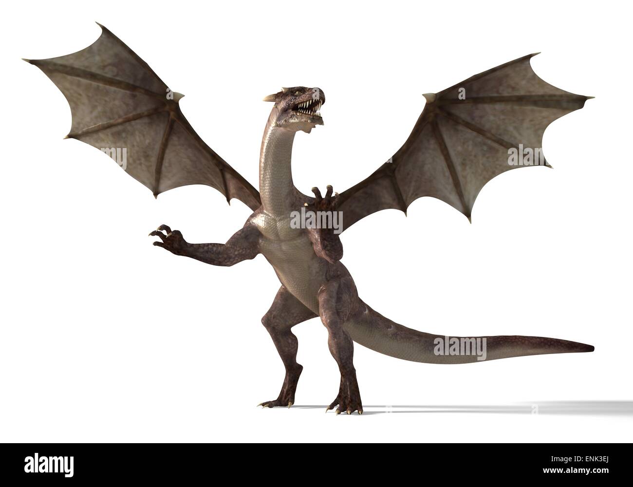 3D digital render of fantasy dragon isolated on white background Stock ...