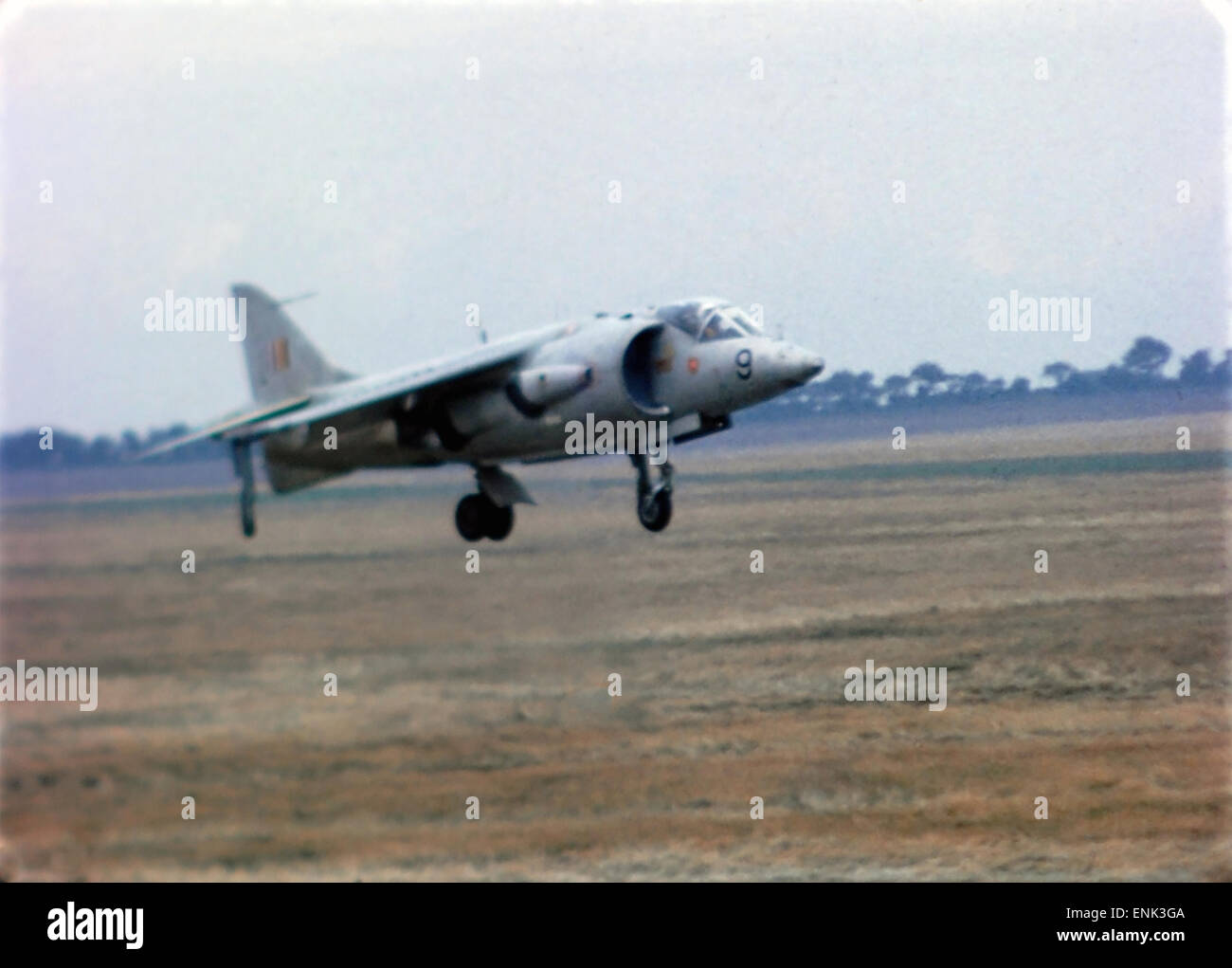 P 1127 kestrel hi-res stock photography and images - Alamy