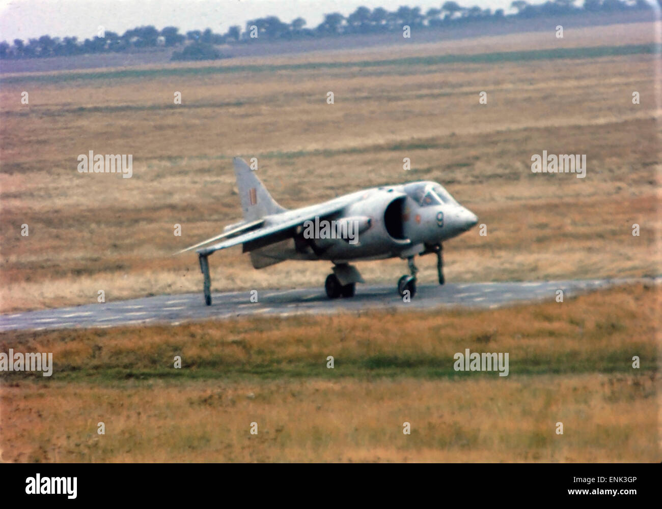 P 1127 kestrel hi-res stock photography and images - Alamy
