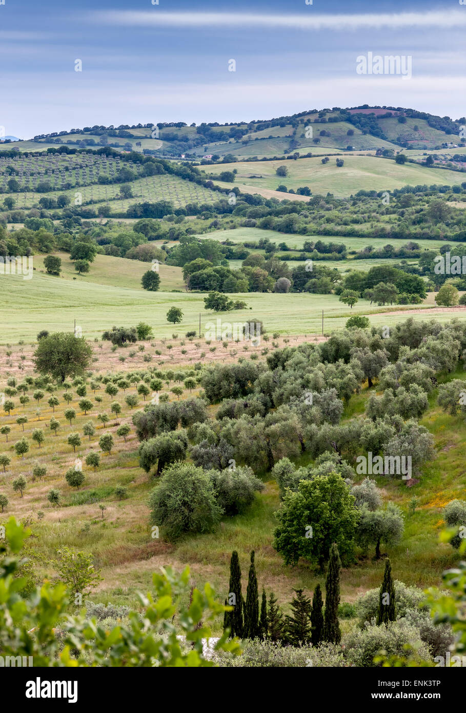 Typical Tuscan landscape in Italy Stock Photo - Alamy