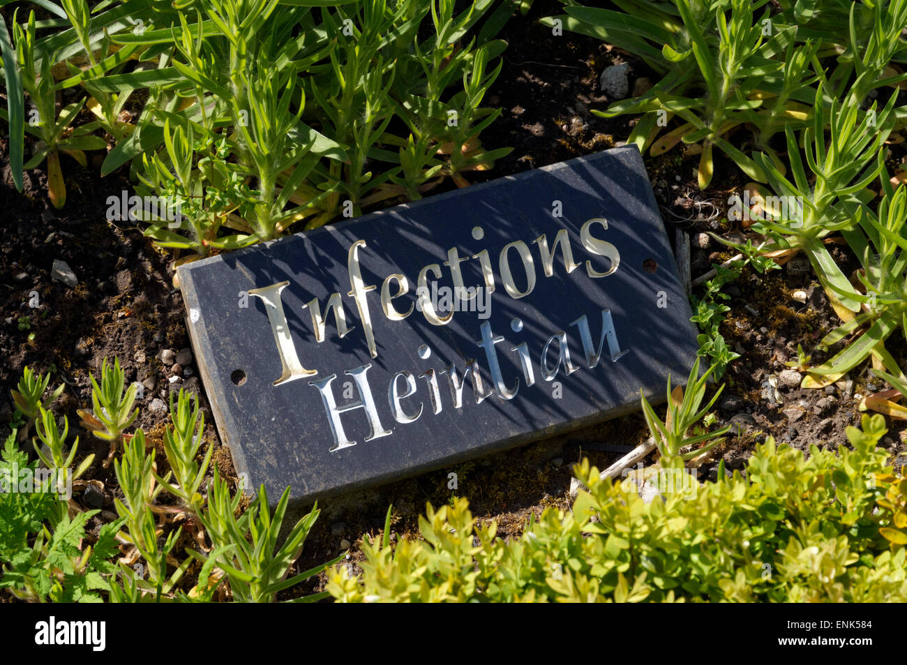 Sign of infections hi-res stock photography and images - Alamy