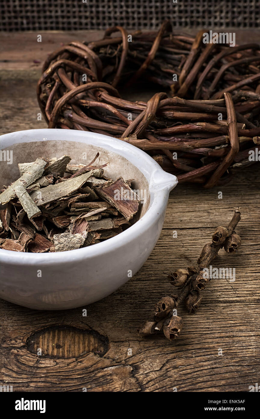 medicinal licorice rolled in coil and aspen bark on wooden background ...