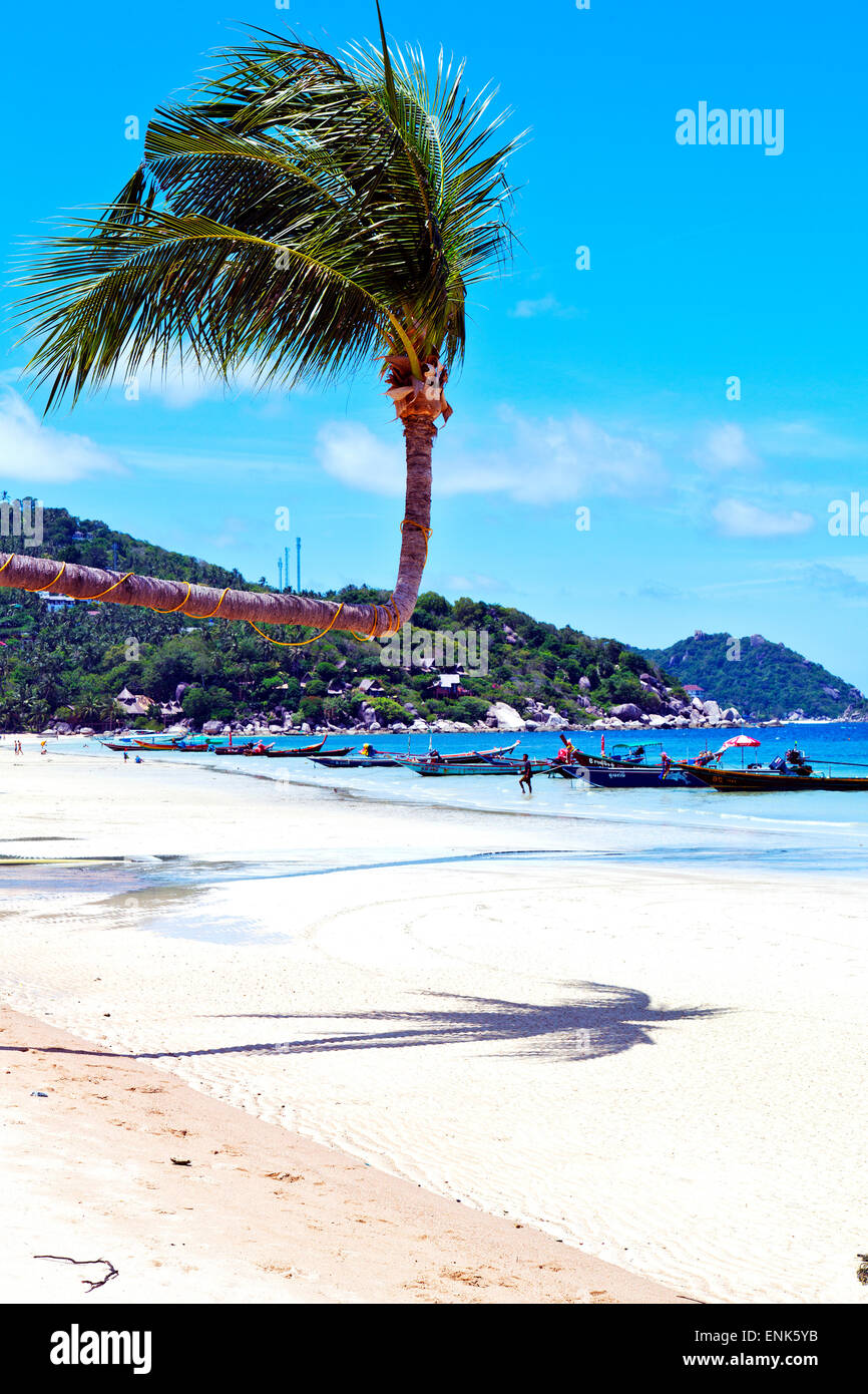 in kho tao thailand bay asia isle beach rocks pirogue palm and south ...