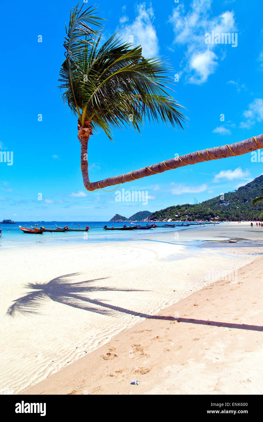 in kho tao thailand bay asia isle beach rocks pirogue palm and south ...