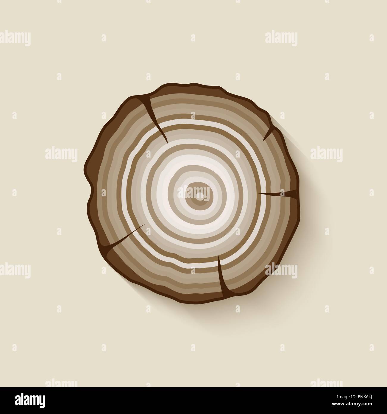 Cross section tree vector hi-res stock photography and images - Alamy