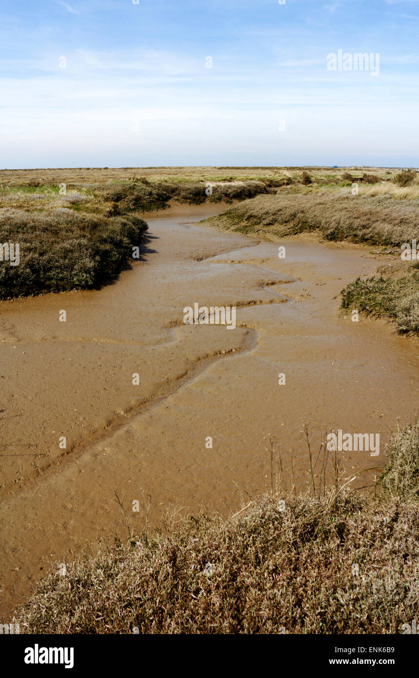 A creek with channel at low tide on the salt marshes at Morston ...
