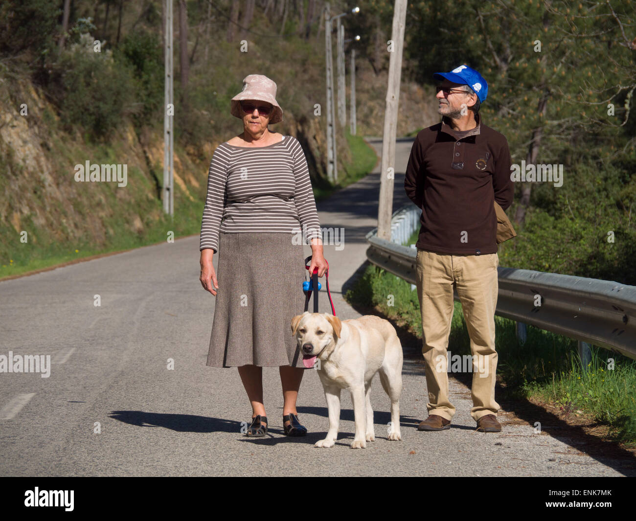 Older woman and man walking a yellow labrador retriever on a sunny day ...