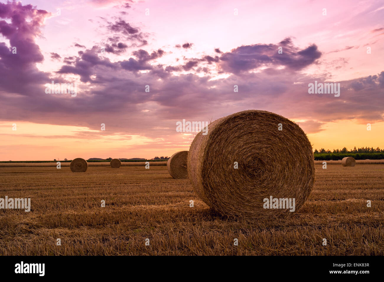 Hay bale field sunset hi-res stock photography and images - Alamy