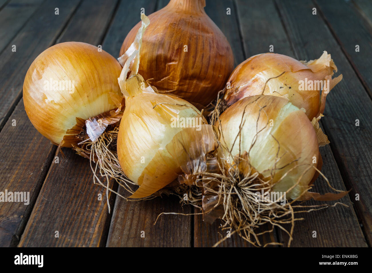 lot of ripe onion. delicious fall vegetable Stock Photo - Alamy