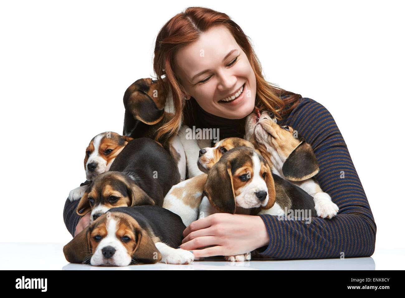 The happy woman and big group of a beagle puppies on white background ...