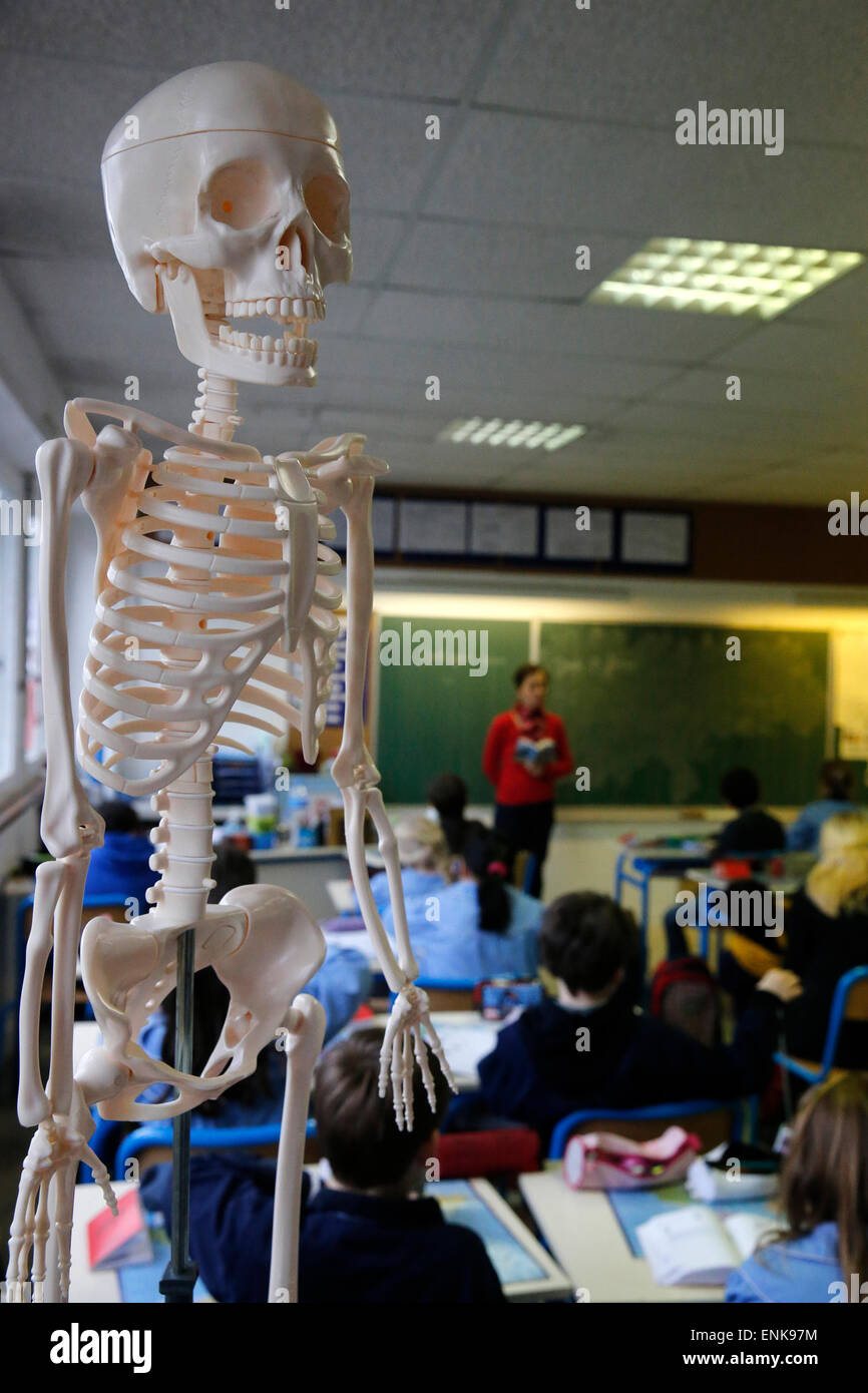 Anatomic school hi-res stock photography and images - Alamy