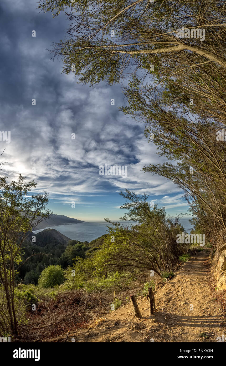 Sun Rise in Big Sur Walking down a Path Stock Photo - Alamy