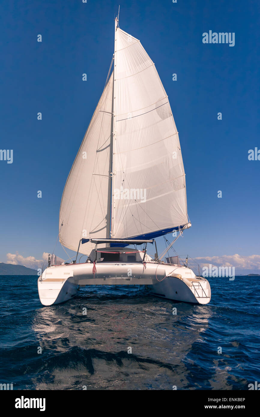 Luxury white catamaran floating in the ocean Stock Photo - Alamy
