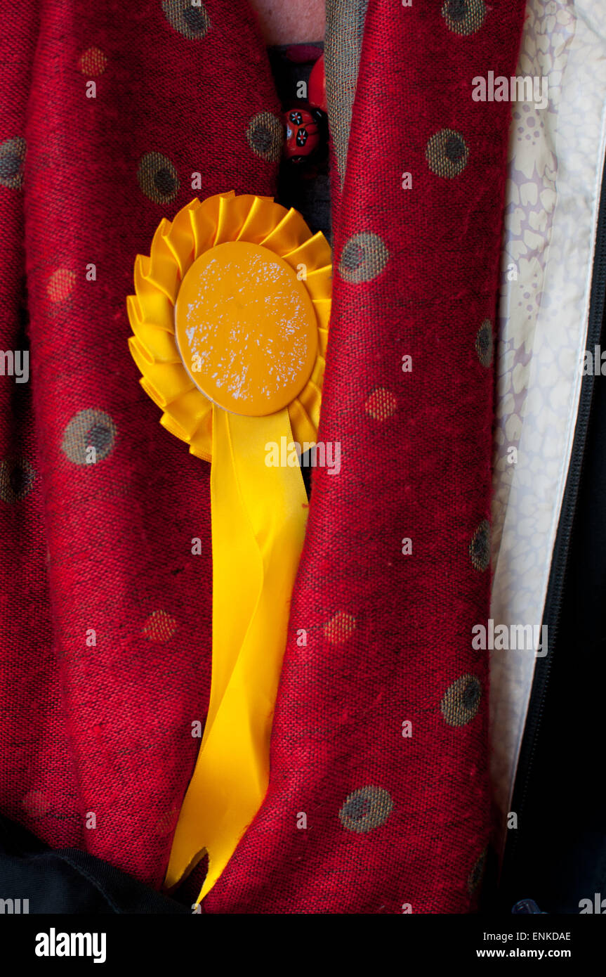Labour rosette hi-res stock photography and images - Alamy