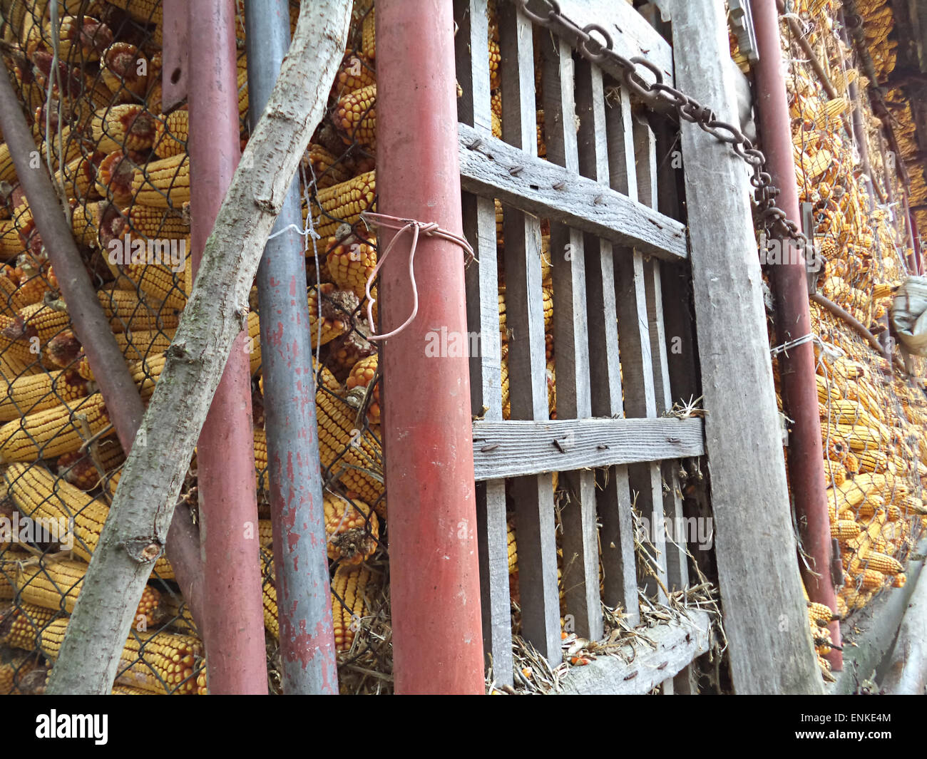 Storage for corn Stock Photo - Alamy