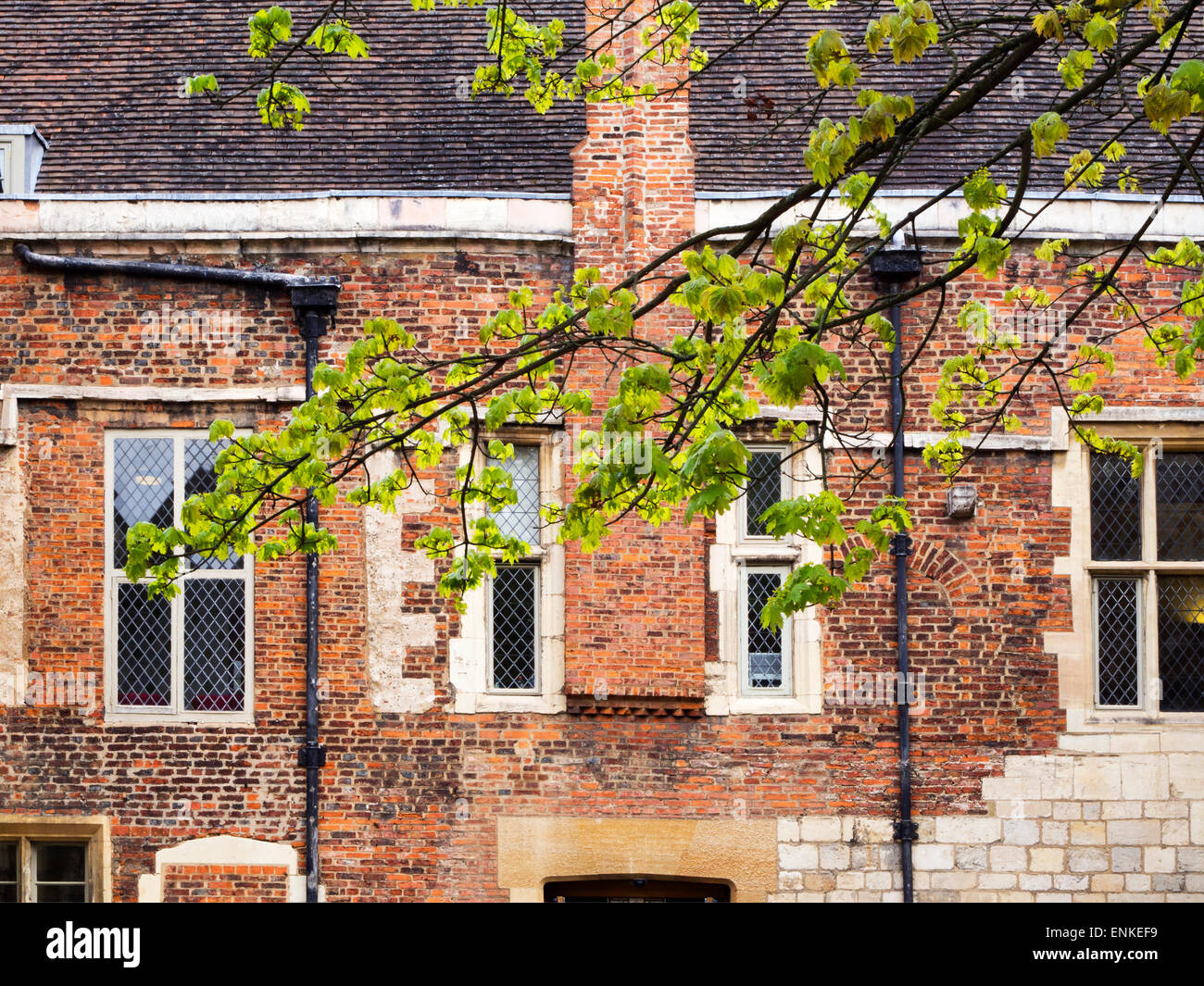 The Kings Manor in Spring University of York Exhibition Square York ...