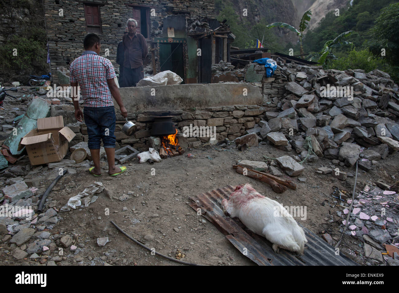 Goat killed hi-res stock photography and images - Alamy