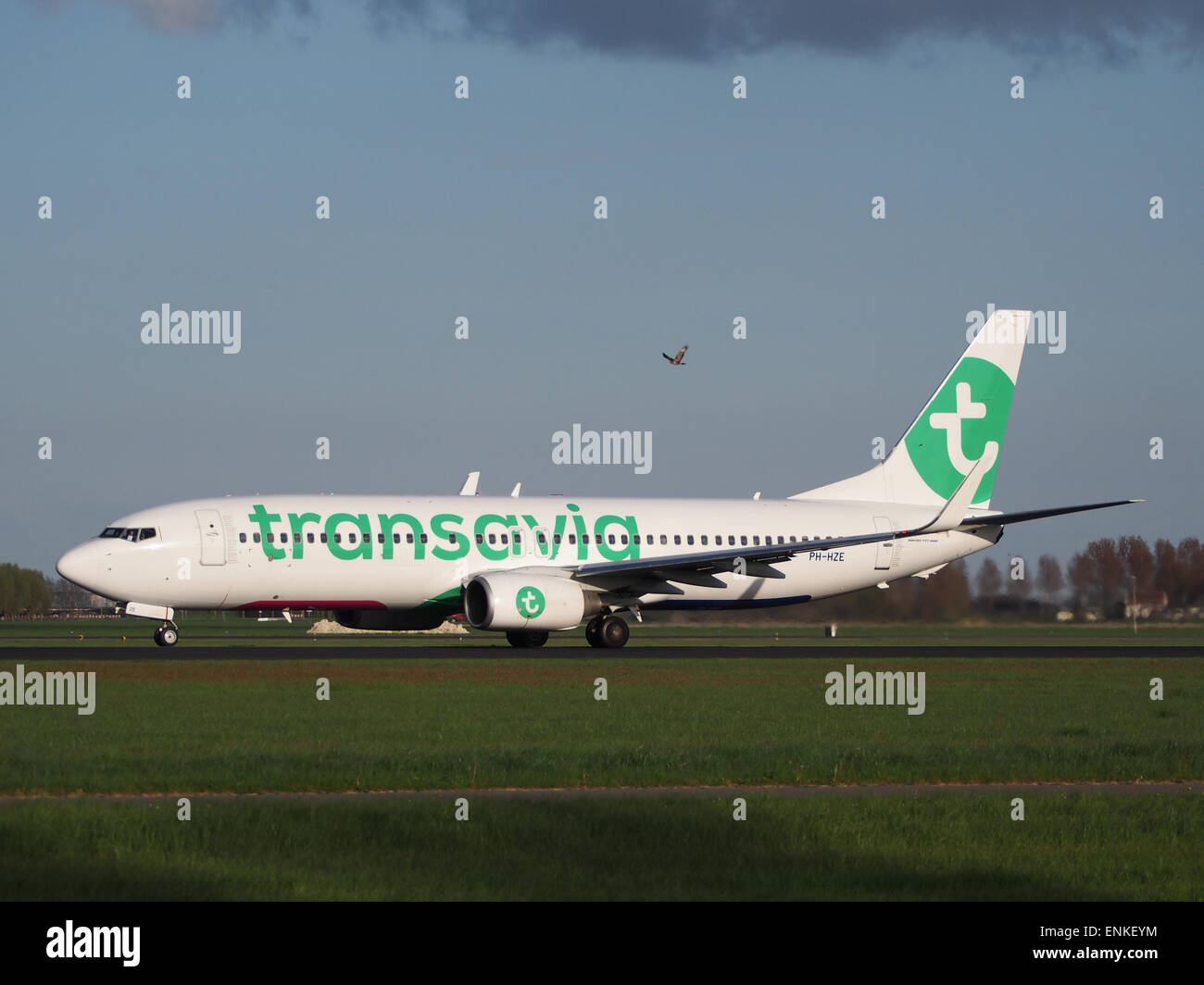 PH-HZE, a Transavia Boeing 737-8K2(WL), takes off from Polderbaan ...