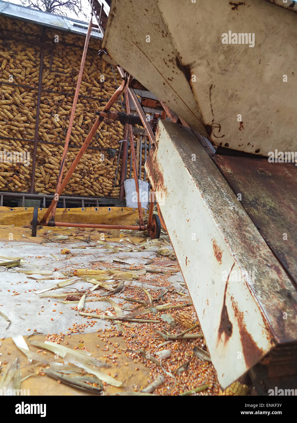 Storage for corn Stock Photo - Alamy