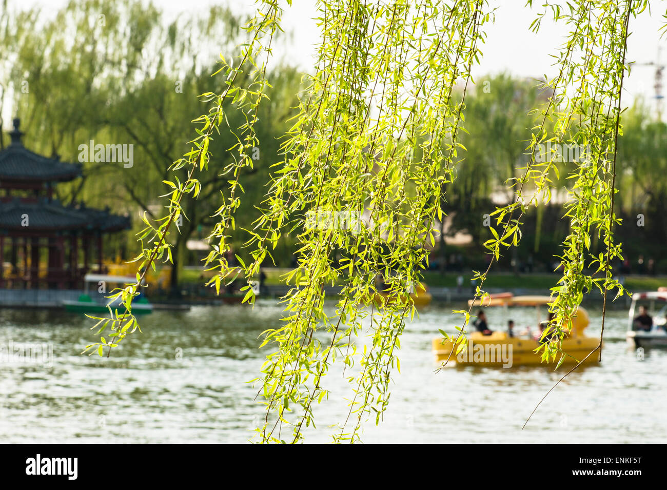Chinese spring water hi-res stock photography and images - Alamy