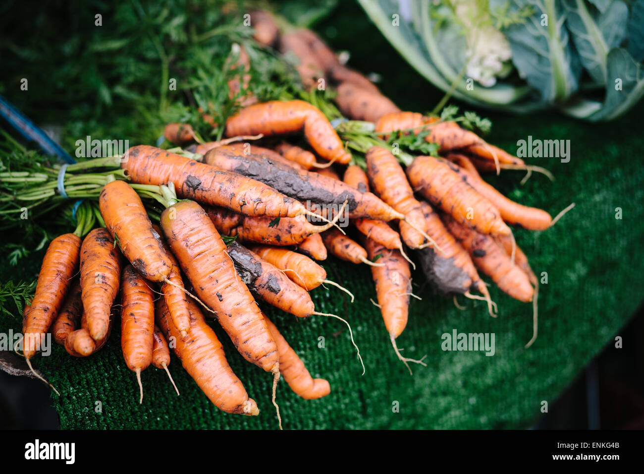 Muddy carrots hi-res stock photography and images - Alamy