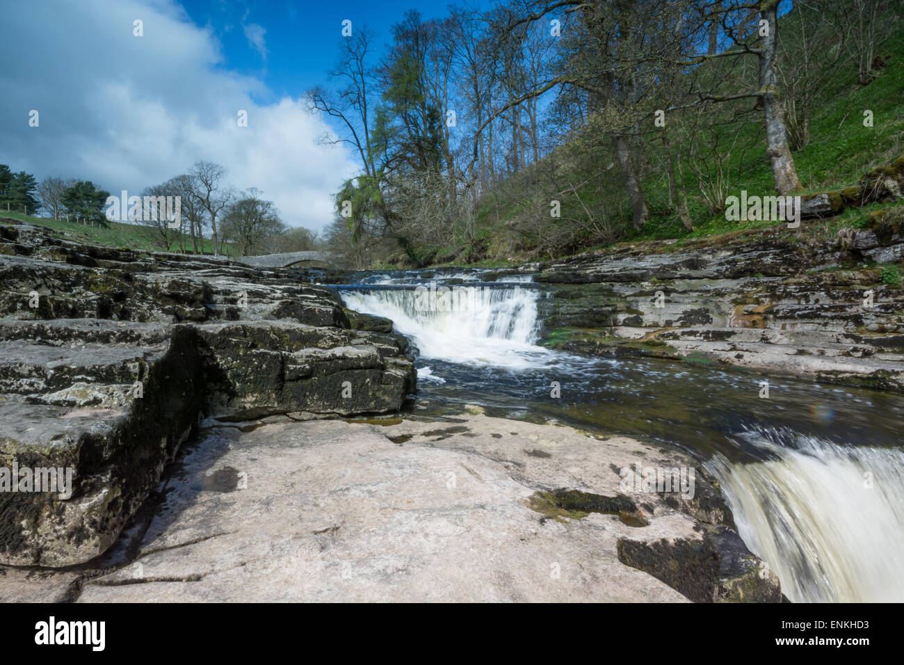 Stainforth Force waterfall in the Yorkshire Dales Stock Photo - Alamy