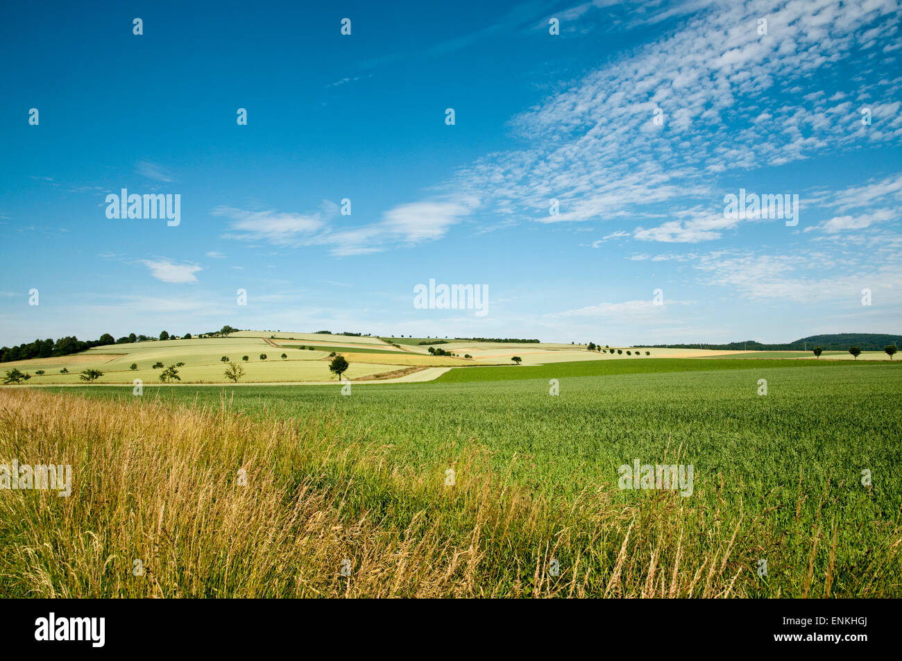 Lower saxony hi-res stock photography and images - Alamy