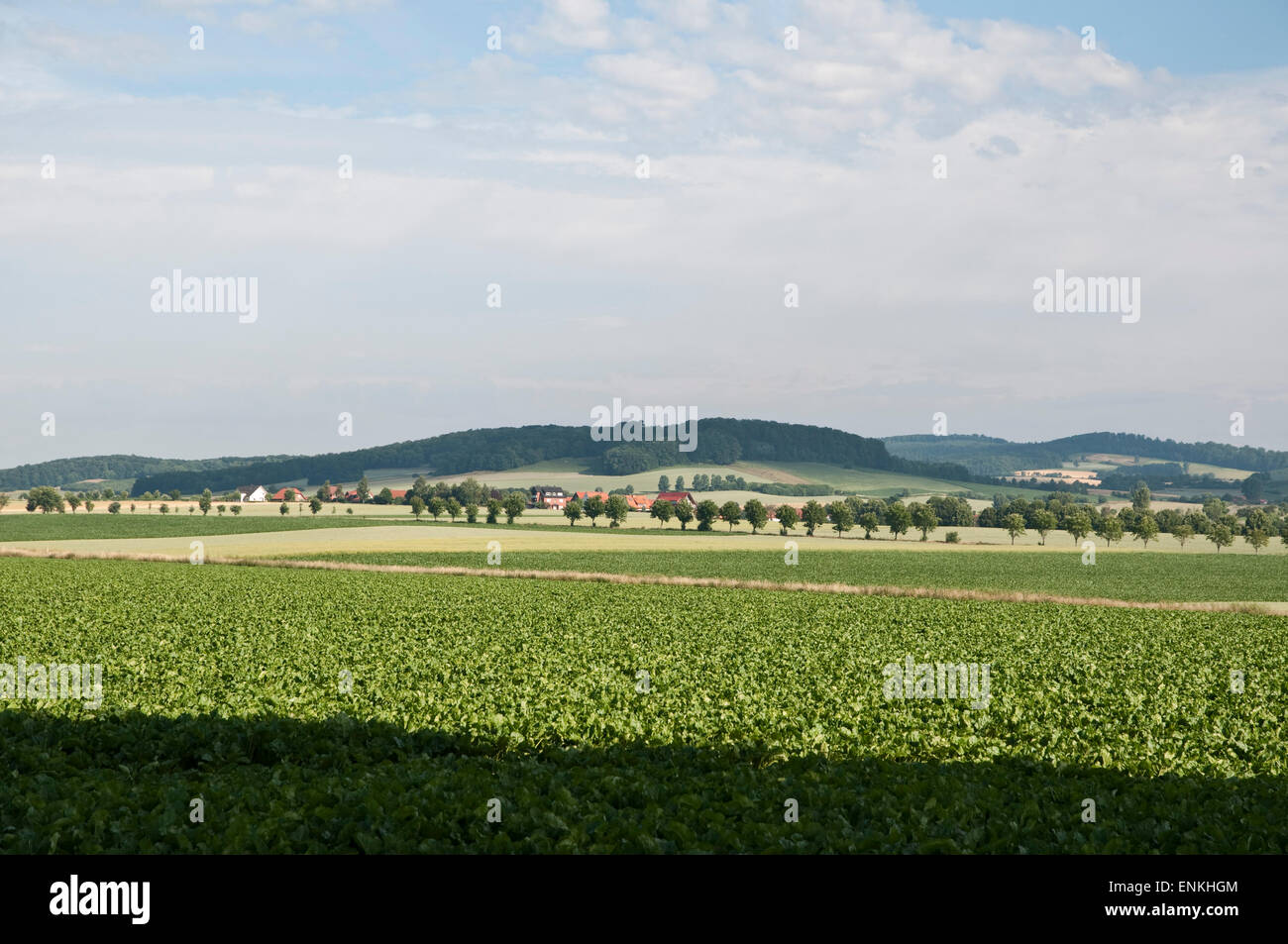 Landschaft Naturpark Solling-Vogler, Weserbergland, Niedersachsen ...