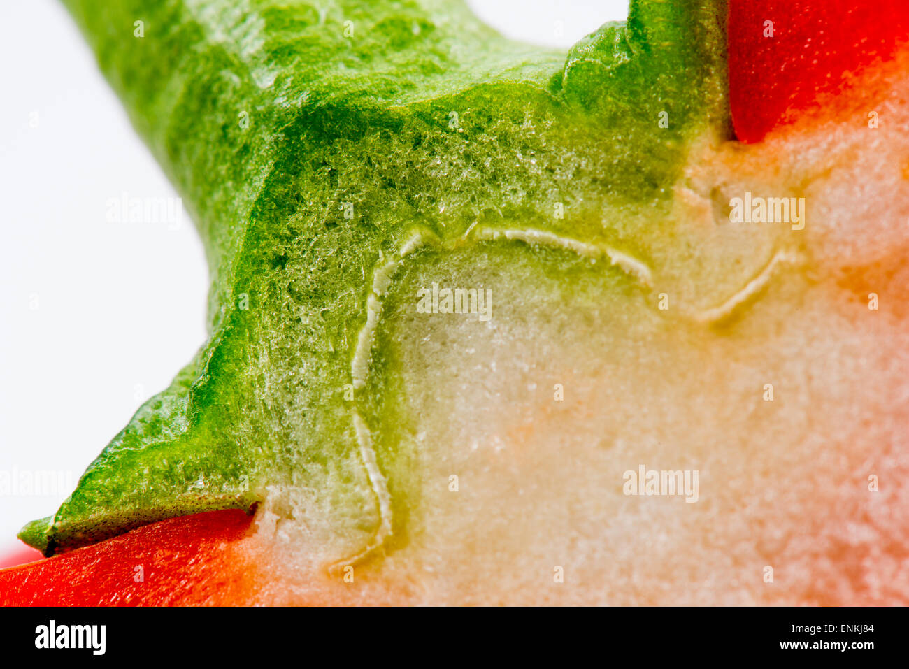 Cross section red capsicum hi-res stock photography and images - Alamy