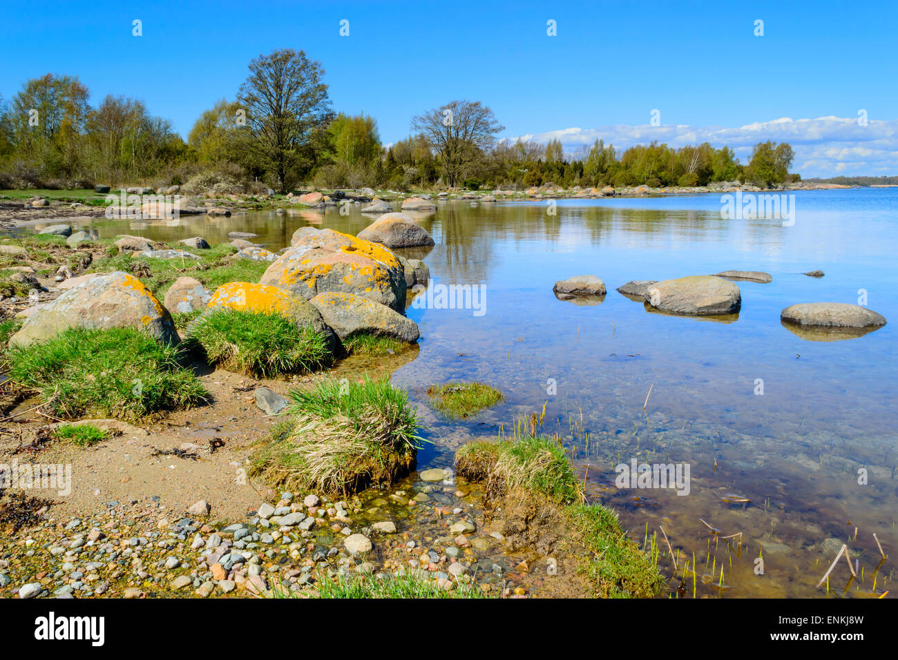 Typical coastline in the southern Swedish archipelago of Blekinge, with ...