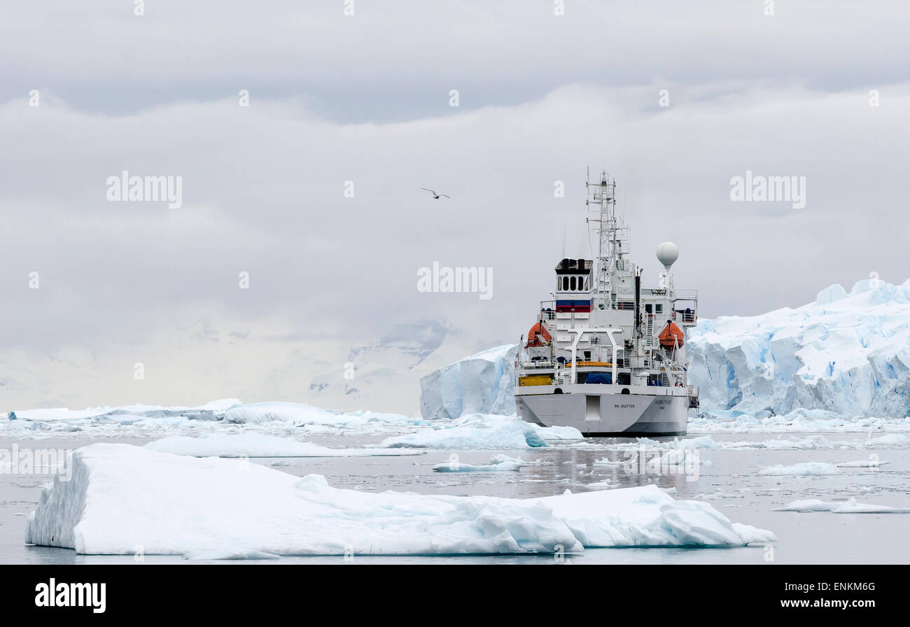 Floating ice and expedition cruise Neko Harbour Antarctic Peninsula ...