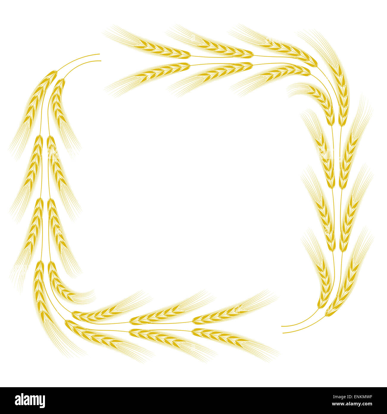 Yellow Wheat Frame Isolated on White Background Stock Photo - Alamy