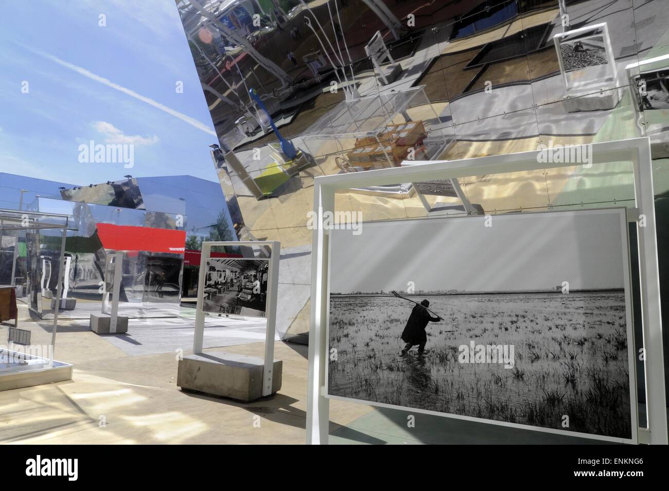 Milan (Italy), World Exhibition Expo 2015, thematic cluster of rice ...