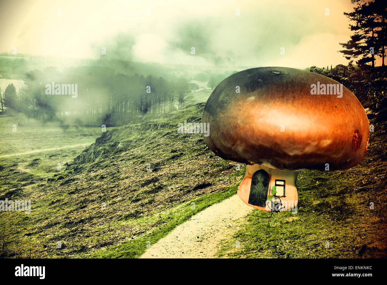 magic, mushroom house, housing, fiction, fictional, creative, landscape ...
