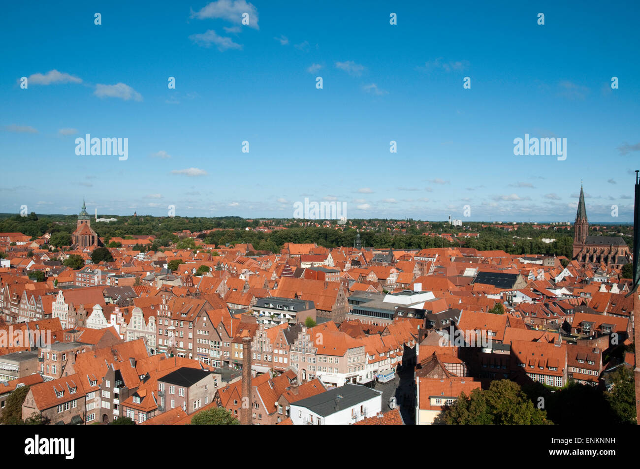 Blick ueber die Daecher der Altstadt, Lueneburg, Niedersachsen ...