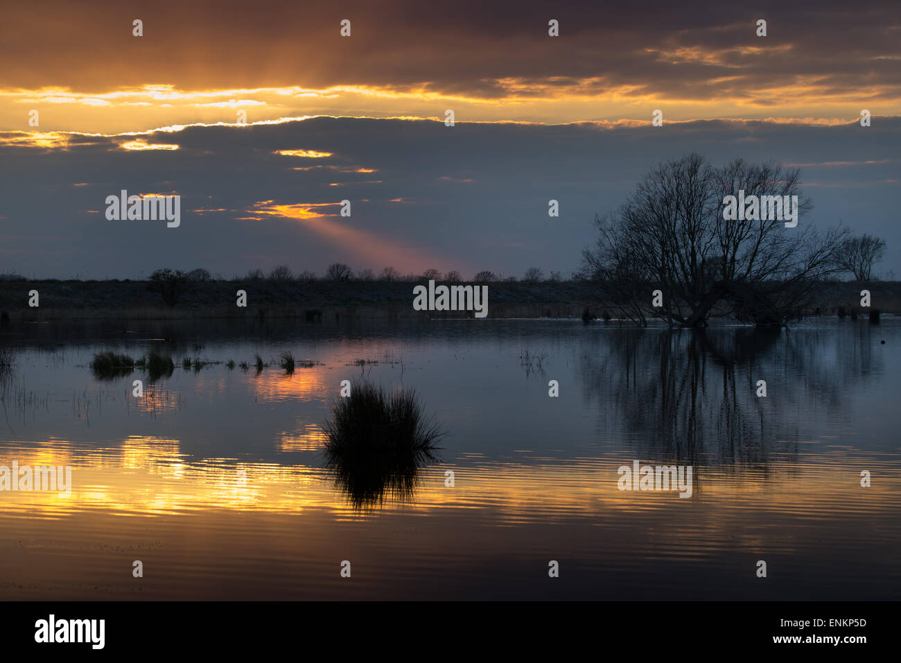 Sunset on the Fens Stock Photo - Alamy