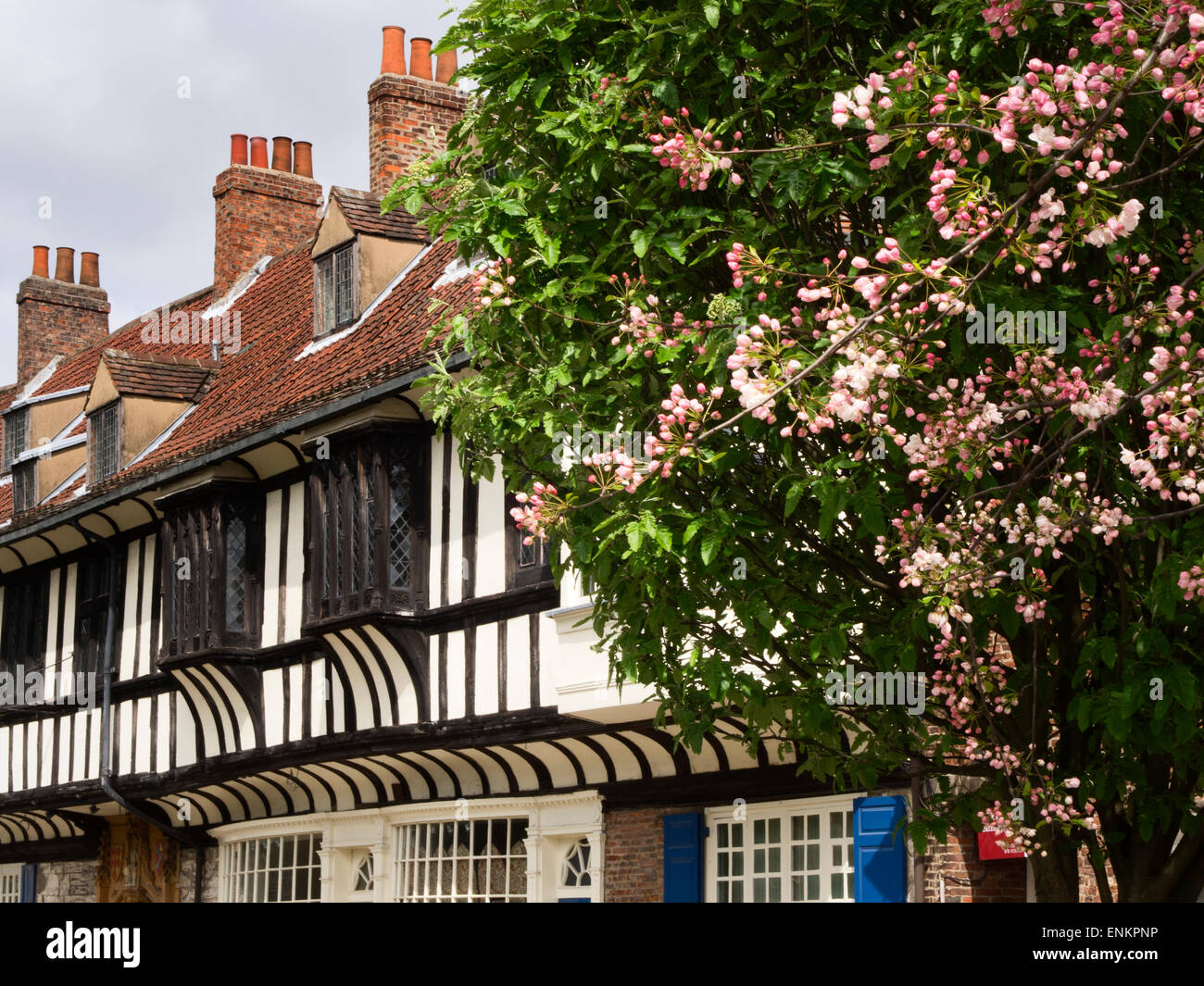 St Williams College in Spring College Street York Yorkshire England ...