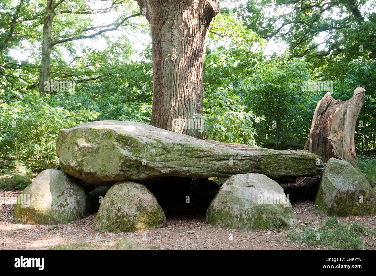 prehistorical tomb, dolmen, Oldenburger Land, Lower Saxony, Germany ...